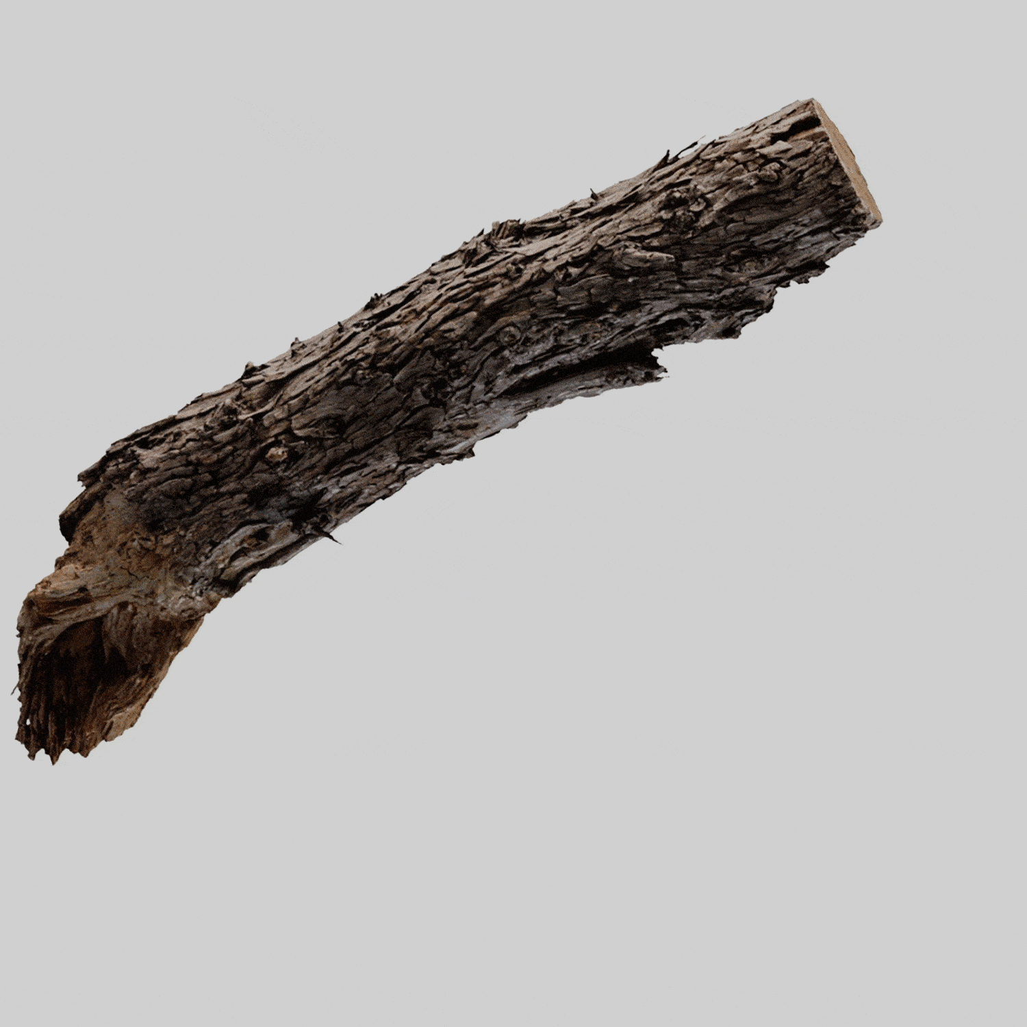 Reimagine – Ajmal Imthiyas